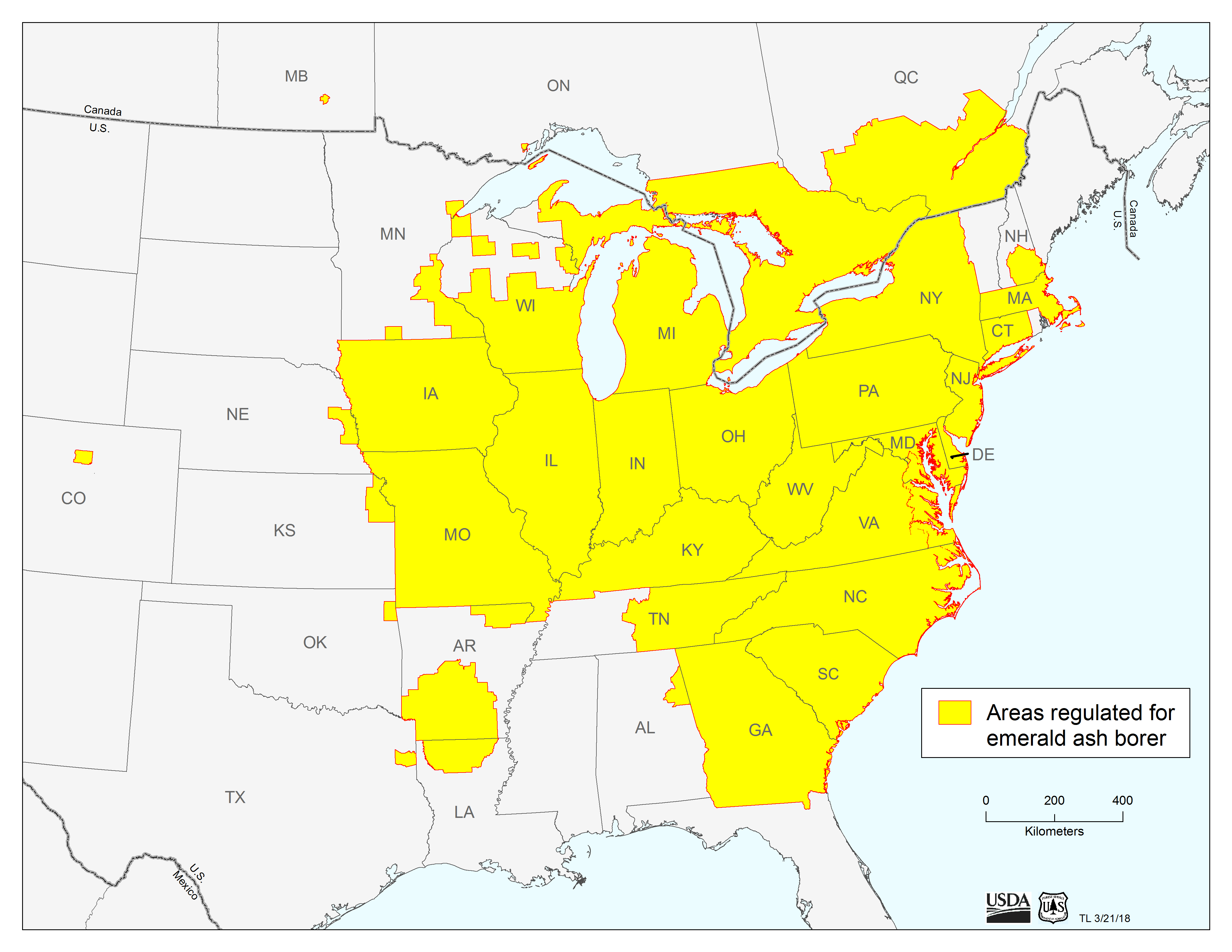 Emerald Ash Borer | Vermont Invasives